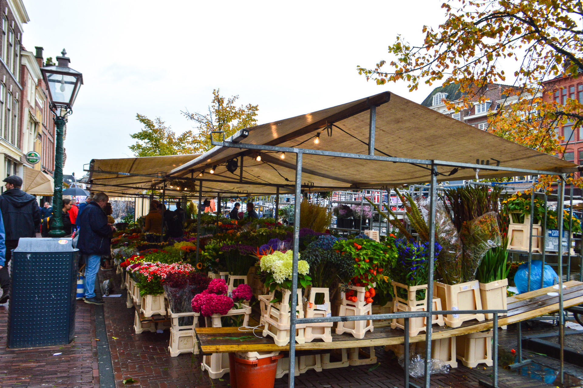 Beyond Amsterdam: Other Cool Places to Visit in The Netherlands