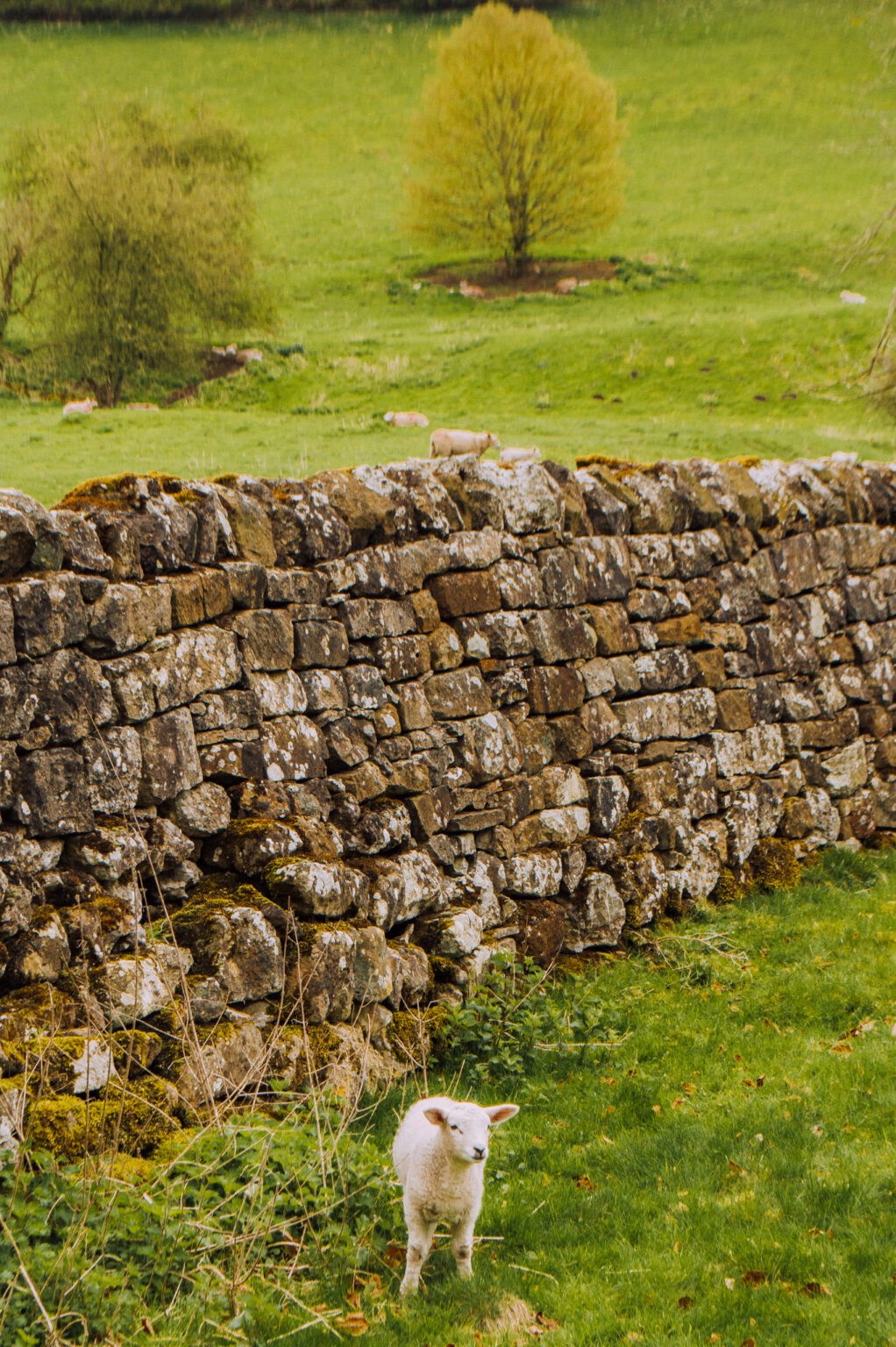 A Day Trip To Helmsley: The Prettiest Market Town in North Yorkshire