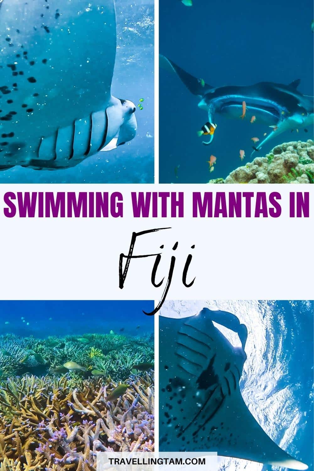 Swimming with Manta Rays in Fiji - The Yasawa Islands