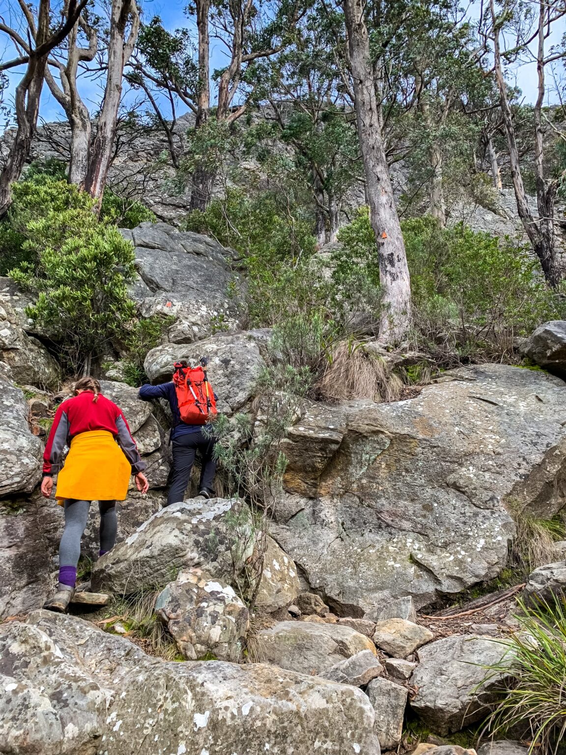Victoria’s Best Scramble Hike: Sugarloaf Peak via Wells Cave Track ...