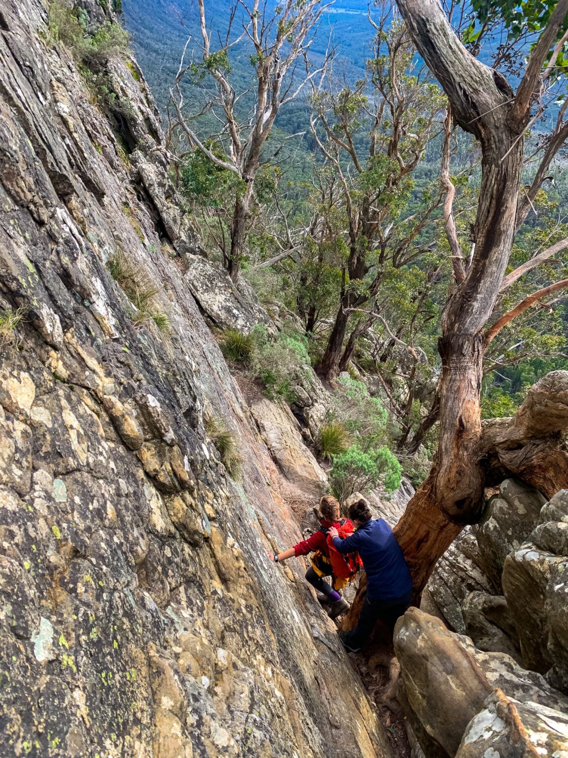 Victoria’s Best Scramble Hike: Sugarloaf Peak via Wells Cave Track ...
