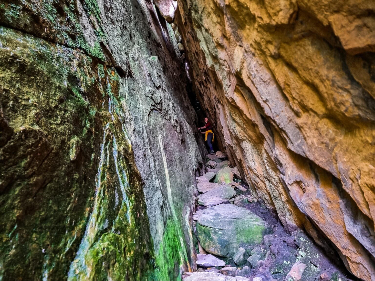 Victoria’s Best Scramble Hike: Sugarloaf Peak via Wells Cave Track ...