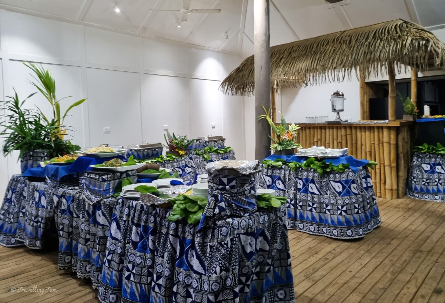 15 Essential Things to Know Before Visiting Fiji | Travelling Tam