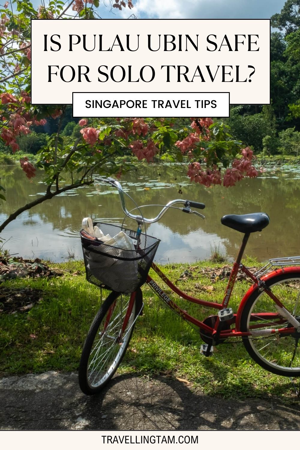Is Pulau Ubin Safe to Visit Solo? | Travelling Tam