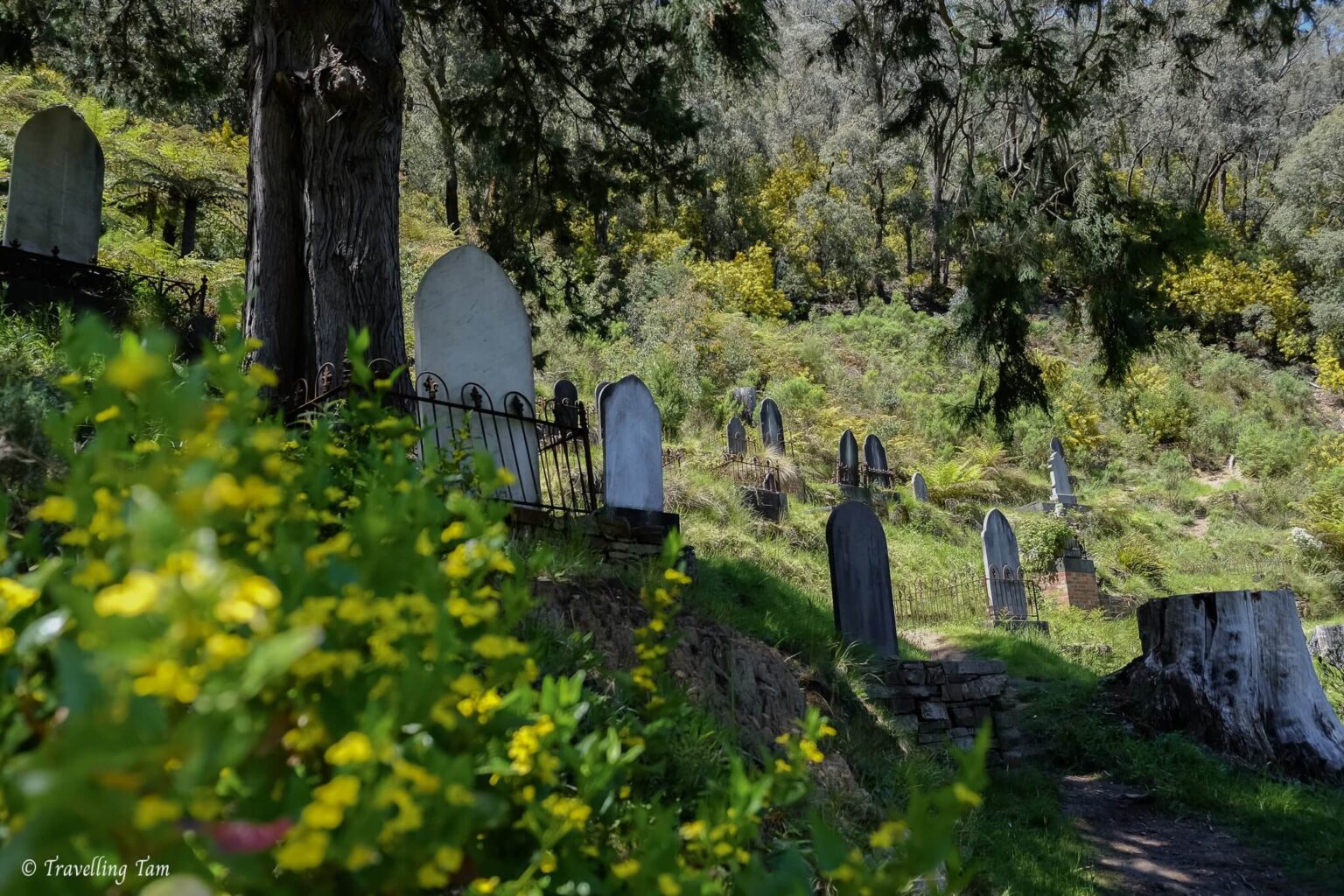 A Guide to a Delightful Weekend in Walhalla!