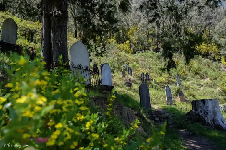 A Guide to a Delightful Weekend in Walhalla!