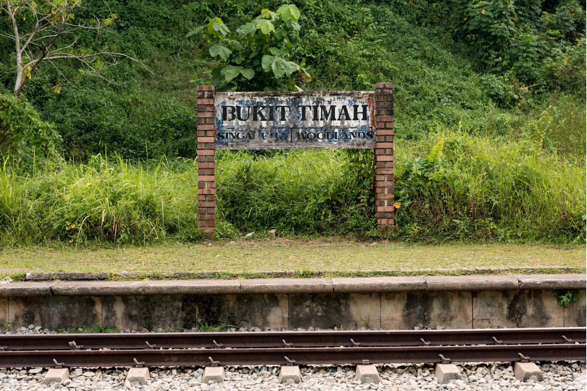 Wildlife at Bukit Timah Nature Reserve - The Last Rainforest In ...