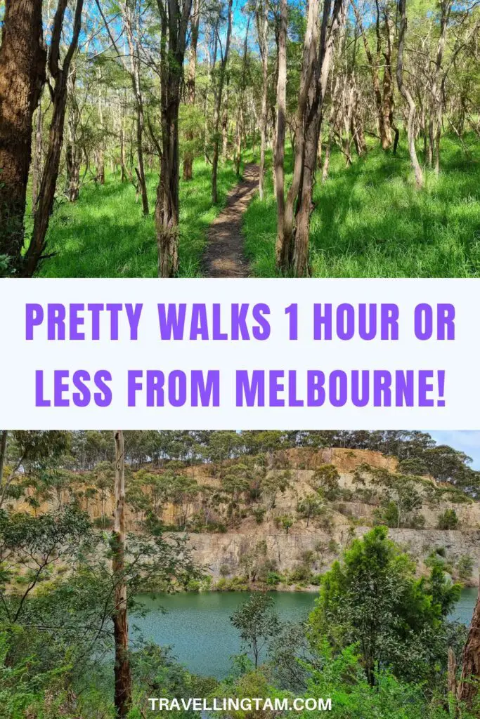 Underrated Day Walks 1 Hour from Melbourne (or Less!) | Travelling Tam