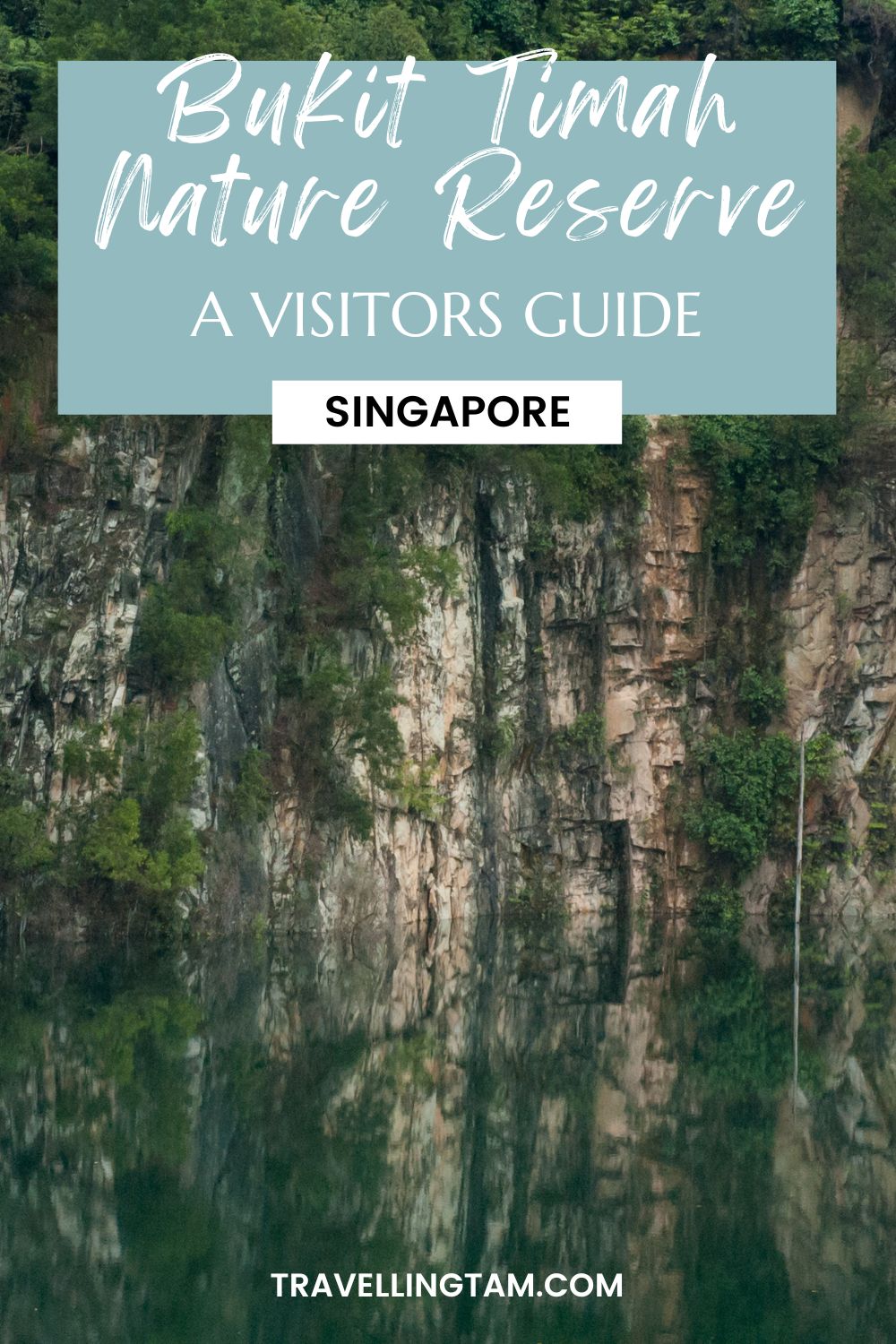 Wildlife at Bukit Timah Nature Reserve - The Last Rainforest In ...