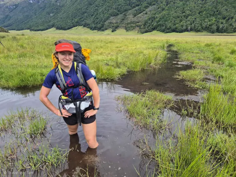Tips & Tricks for Hiking the Rees-Dart Track | Travelling Tam